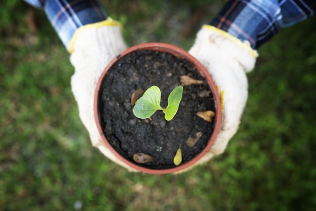 Stewardship: Taking Care of Your Employees